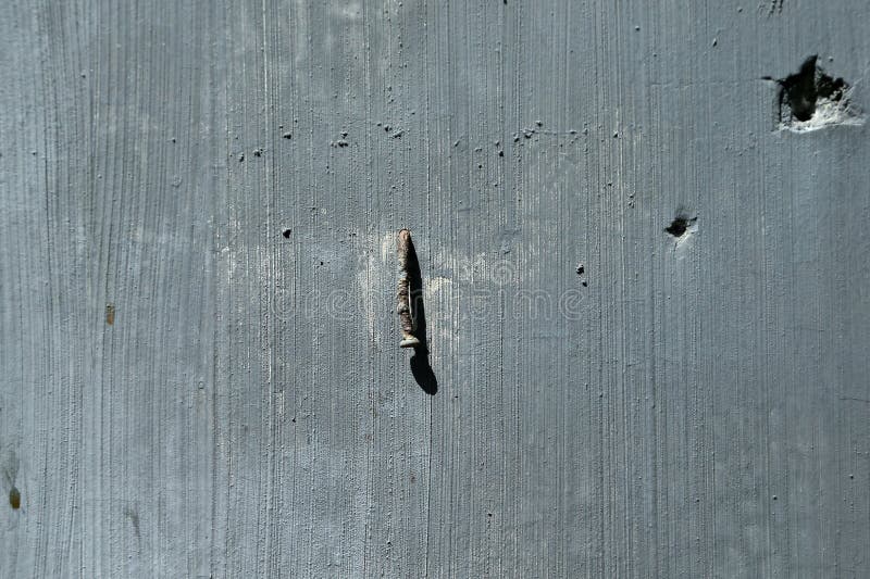 Walls and nails stock image. Image of iron, floor, branch - 289444019