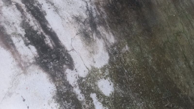 Walls Overgrown with Black Moss. Stock Photo - Image of soil, walls ...