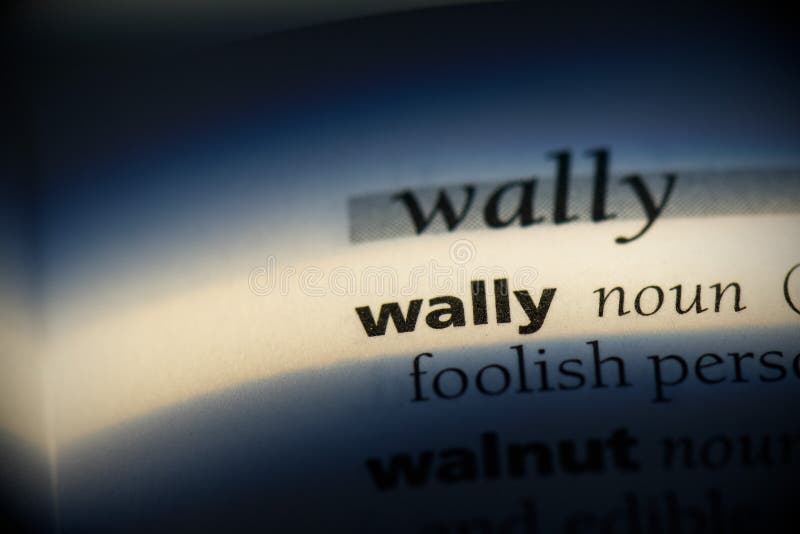 Wally stock photo. Image of info, close, wally, printed - 161576878