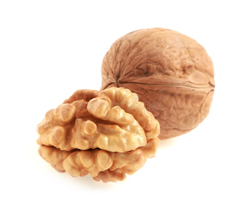 Walnuss stockbild. Bild von bestandteil, einzeln, geknittert - 36434873