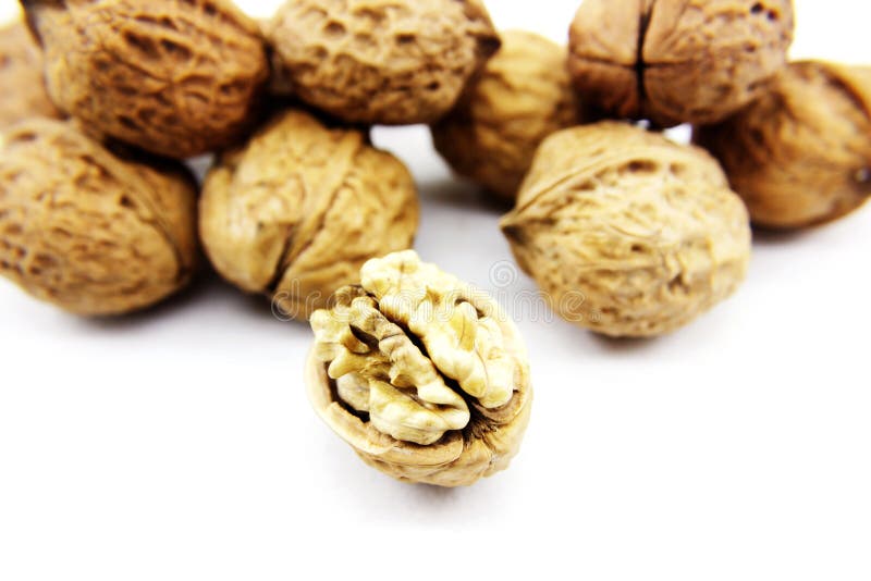 Walnuss stockbild. Bild von organisch, früchte, blatt - 37769321