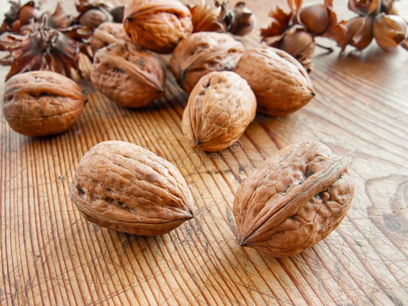 Walnut stock image. Image of landscape, communities, ingredients - 11109979