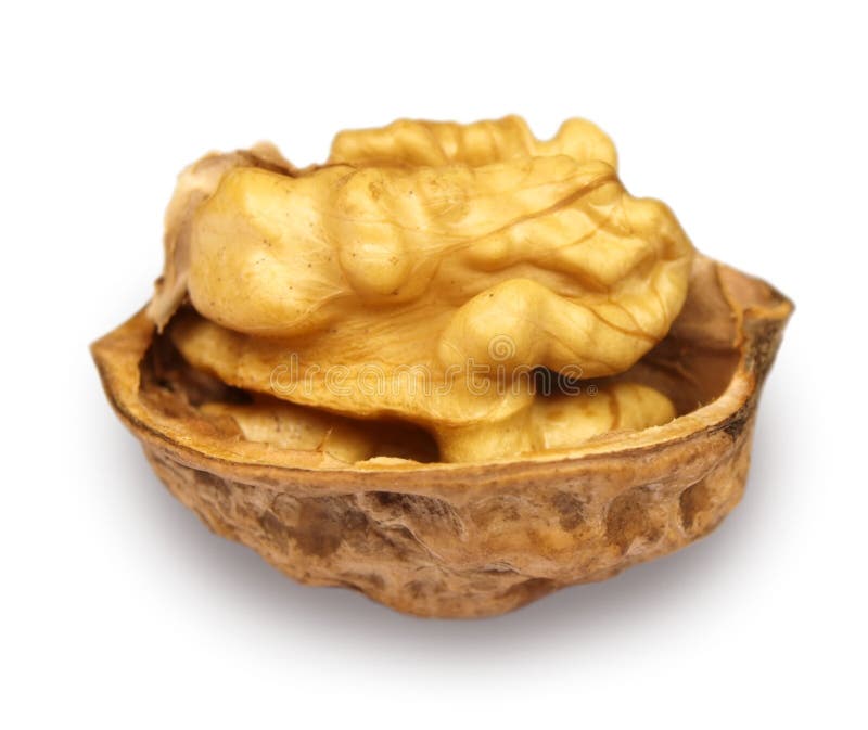 Walnut stock photo. Image of good, background, healthy - 11888996