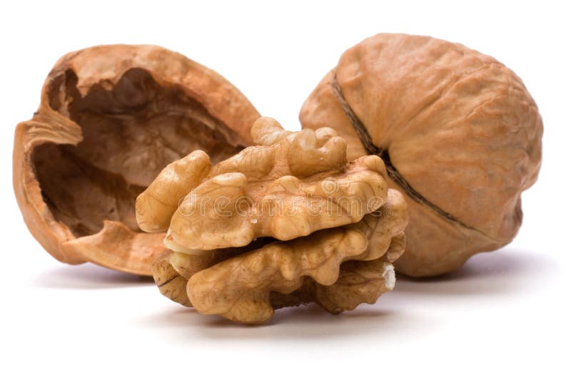 Walnuts stock photo. Image of eatables, life, still, fresh - 10249124
