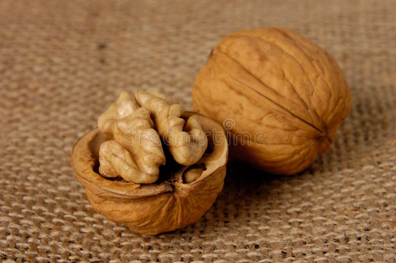 Walnut stock image. Image of yellow, walnut, macro, shelled - 13634665