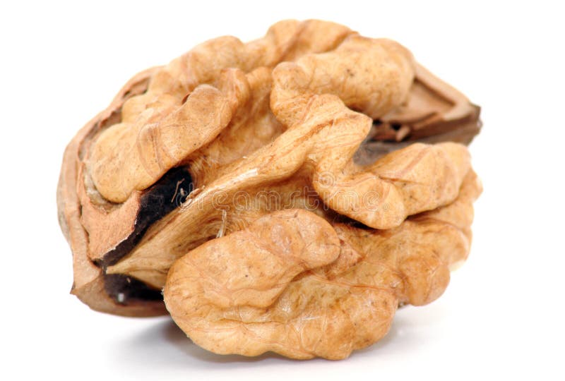 Walnut stock image. Image of dried, inside, condiment - 13847609