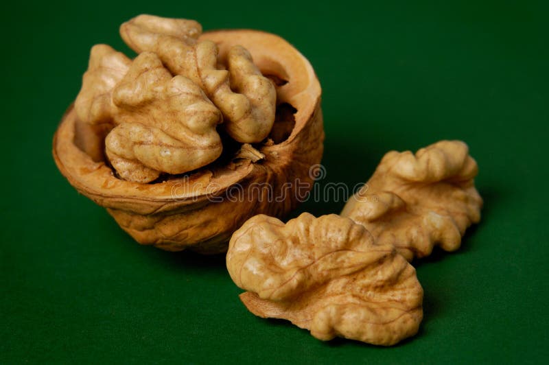 Walnut stock photo. Image of herb, food, walnuts, green - 83672