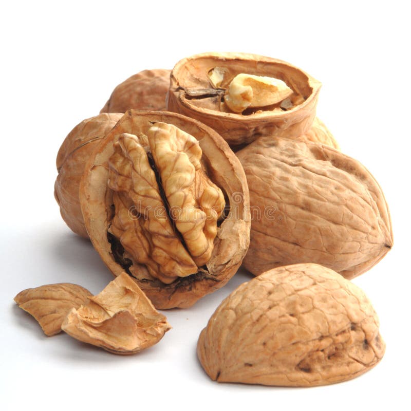 Walnuts isolated stock image. Image of cross, organic - 27949645