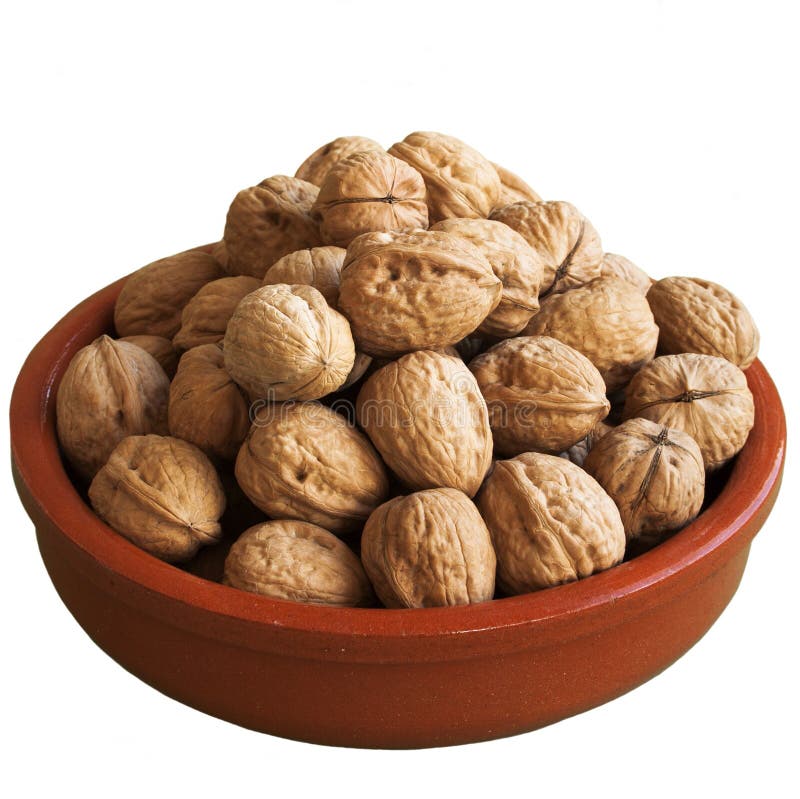 Walnut stock image. Image of vegetarian, pile, natural - 17149357