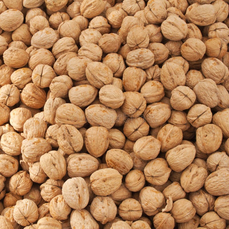 Walnut stock image. Image of snack, seed, pile, nature - 17241629