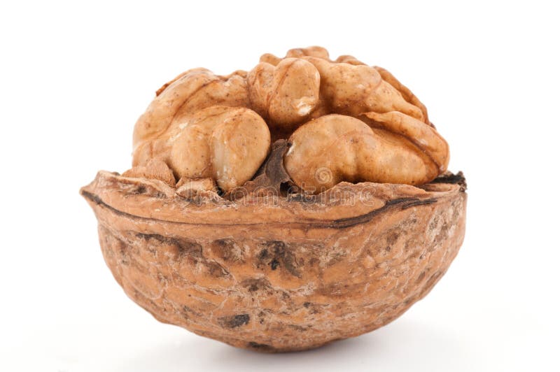 Walnut stock image. Image of dried, inside, condiment - 13847609