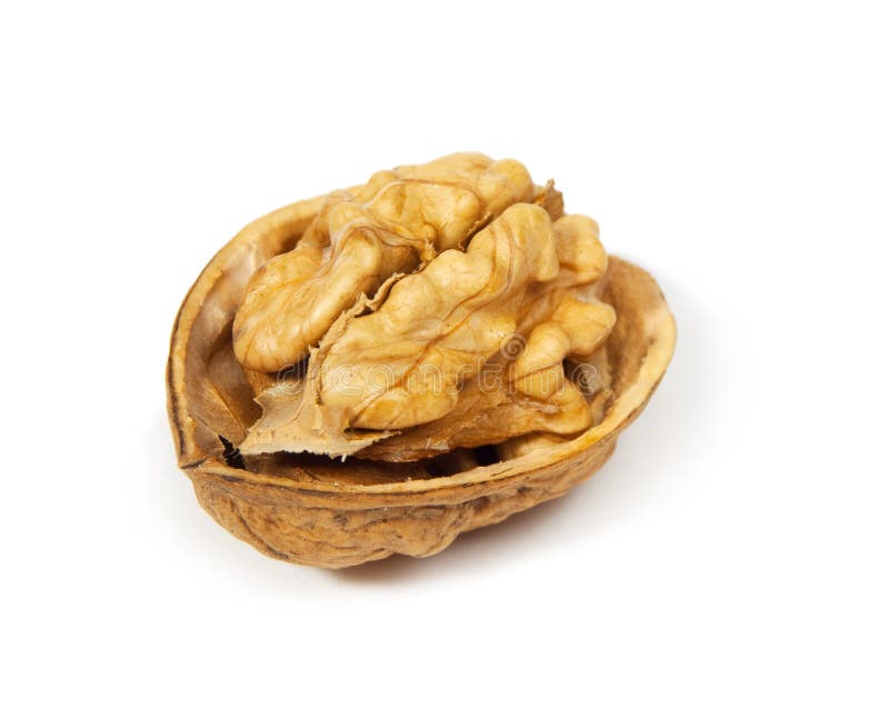 Walnuts stock photo. Image of nibble, nutritional, grocery - 11416034