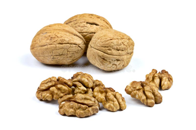 Walnut stock photo. Image of background, healthy, dried - 22532986