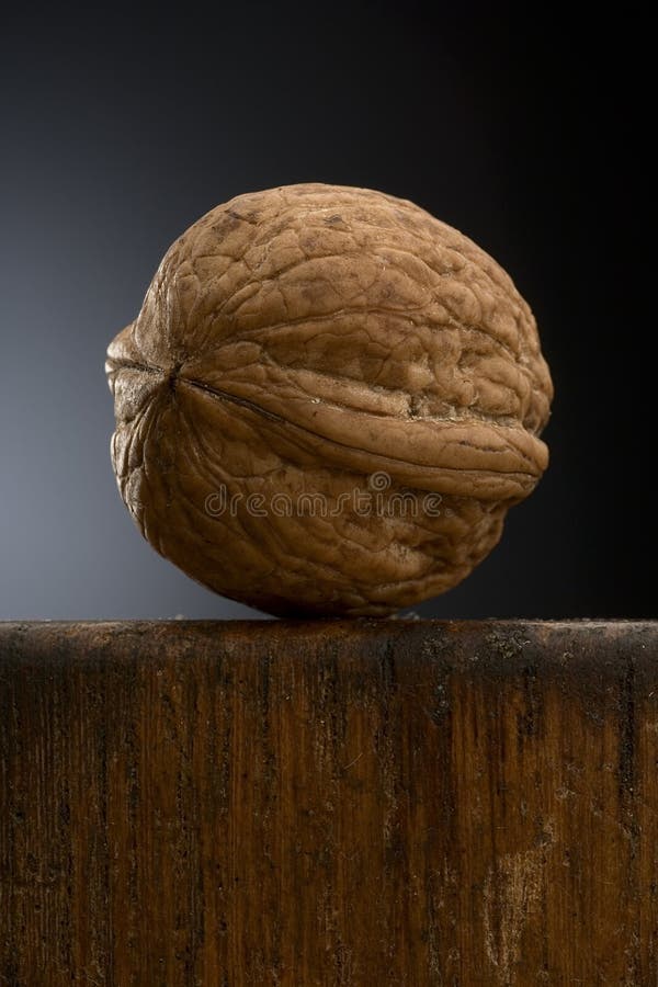 Walnut stock image. Image of walnut, fruit, enclosed, shell - 1838017