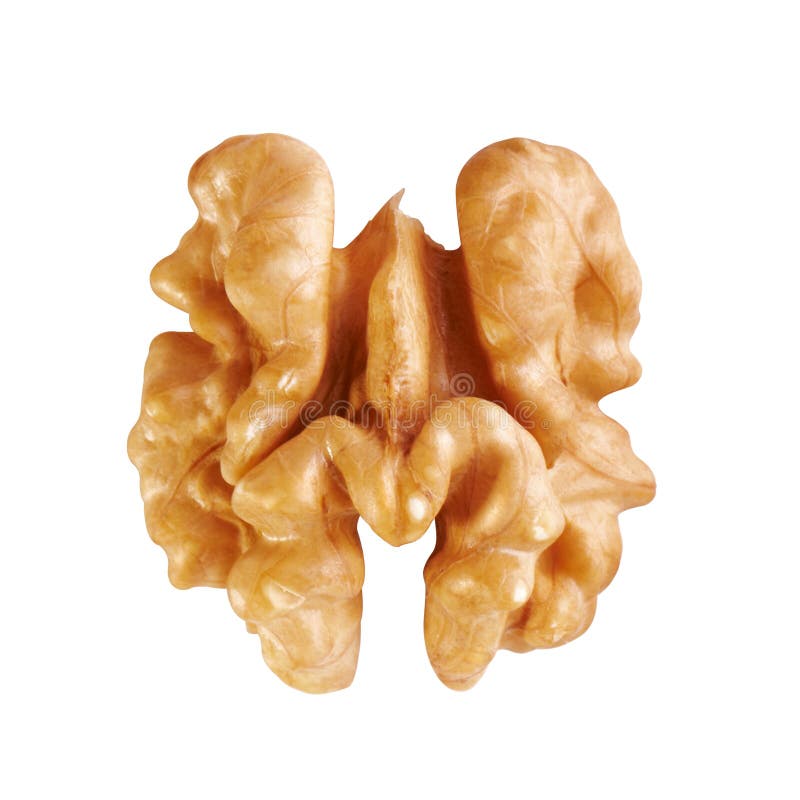 Walnut stock photo. Image of walnut, bunch, isolated - 21536210