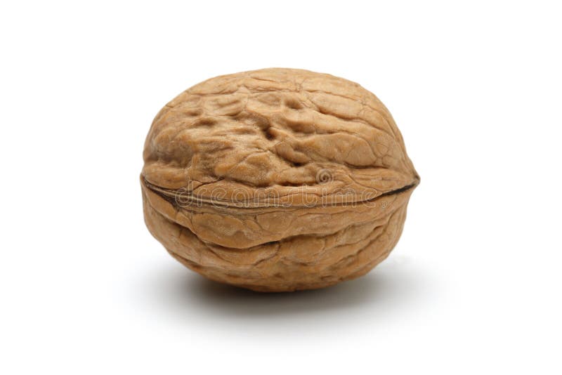 Walnut stock image. Image of cracked, full, nature, leaf - 22532509