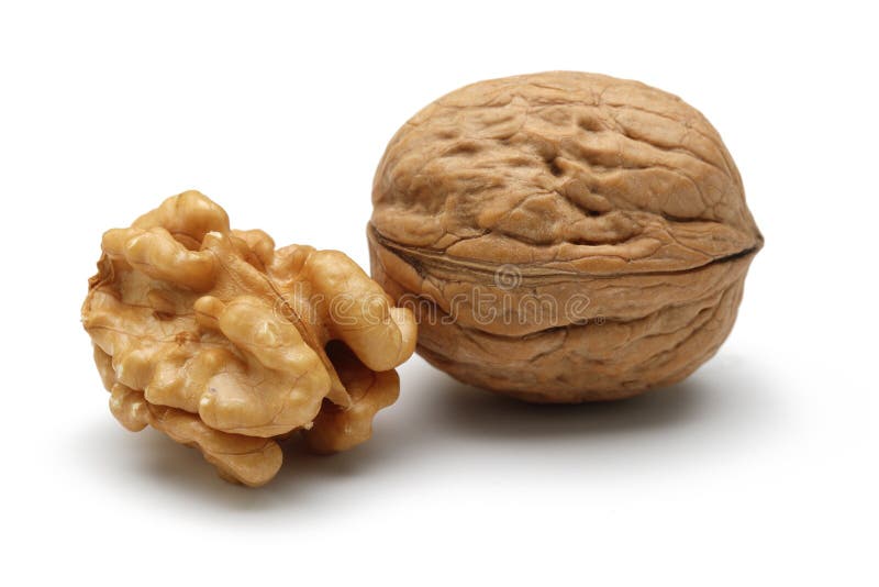 Walnut stock photo. Image of background, healthy, dried - 22532986