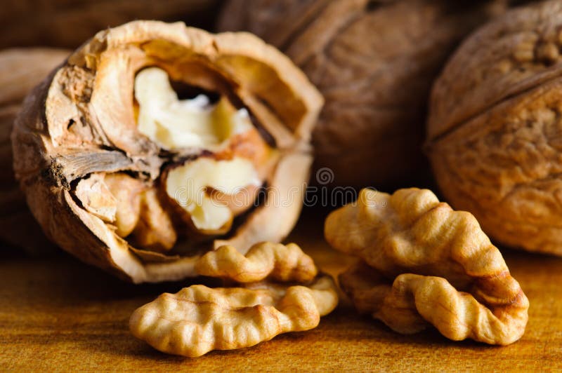 Walnut stock photo. Image of walnut, macro, cracked, dried - 5666646