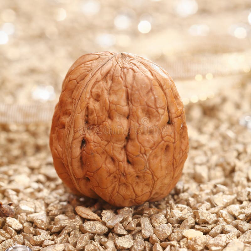Walnut stock photo. Image of kernel, snack, nuts, closeup - 21498504