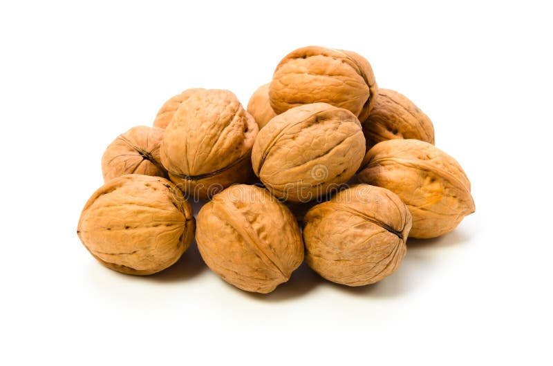 Walnut stock photo. Image of noix, fresh, health, food - 25179690