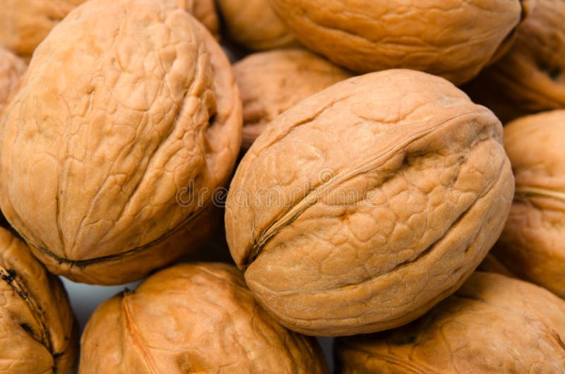 Walnut stock photo. Image of kernel, snack, nuts, closeup - 21498504