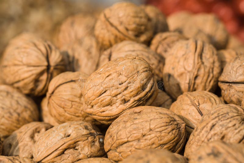 Walnut stock photo. Image of diet, nutty, nature, nutshell - 27561340
