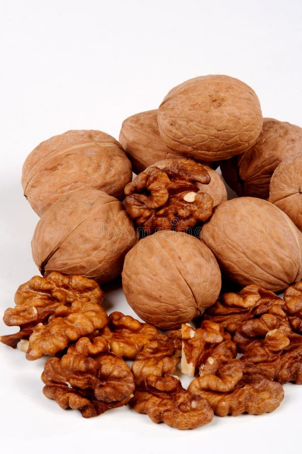 Walnut Picture. Image: 4647157