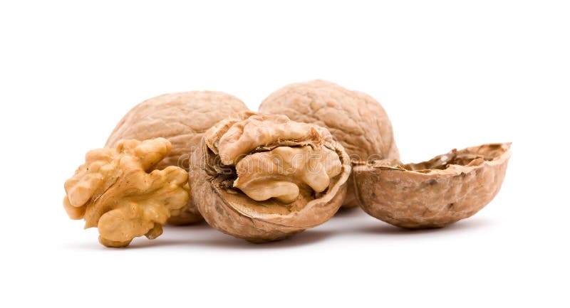 Walnut stock image. Image of walnuts, fruit, walnut, nature - 7221739