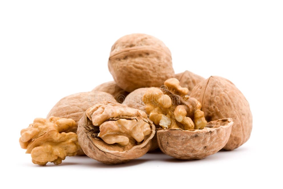 Walnut stock image. Image of macro, wrinkled, ingredient - 7223607