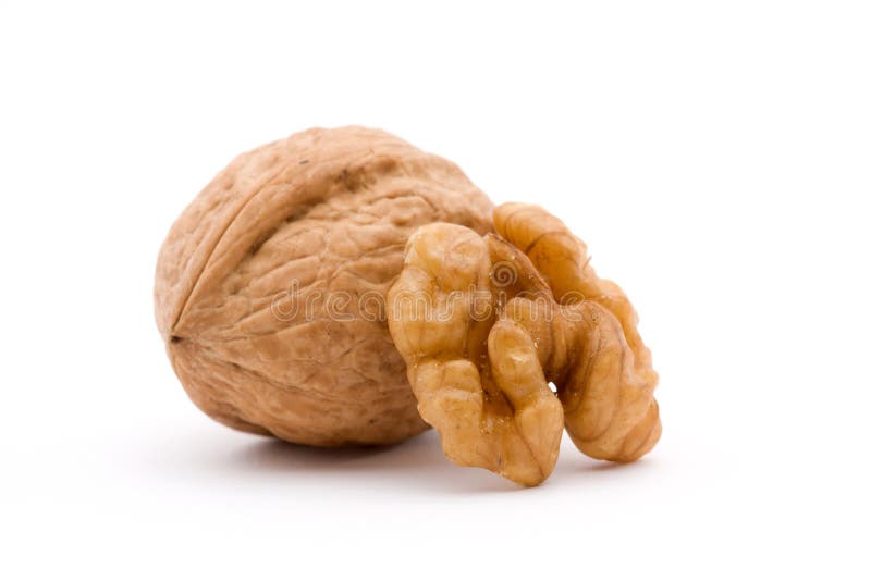Walnut stock photo. Image of nuts, open, macro, wrinkled - 7223626