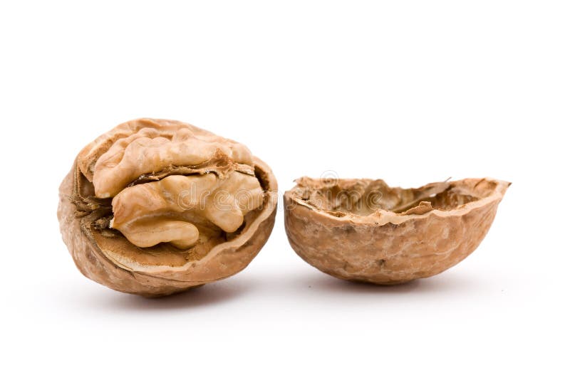 Walnut stock image. Image of diet, hard, fruit, delicious - 7223983