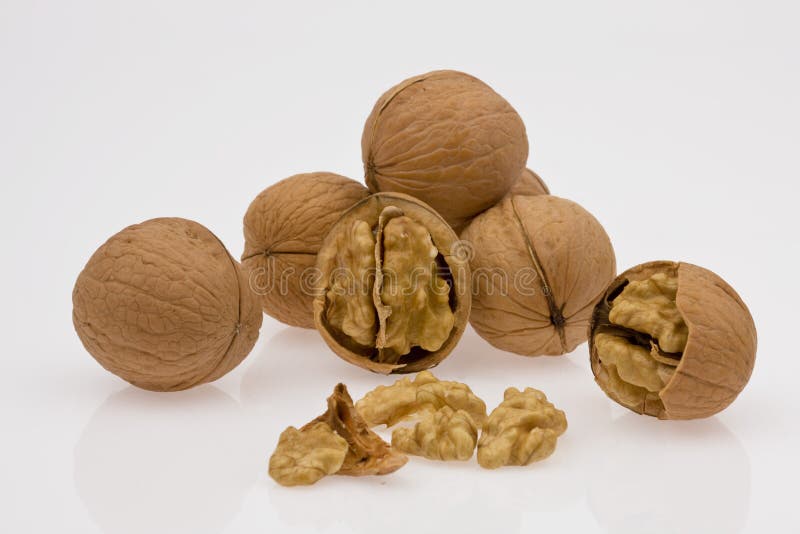 Green walnut stock photo. Image of branches, summer, close - 1043226