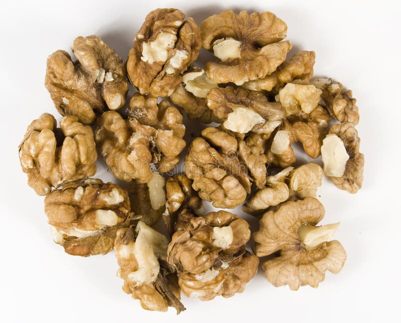 Walnut stock photo. Image of brown, tasty, food, nuts - 7857936