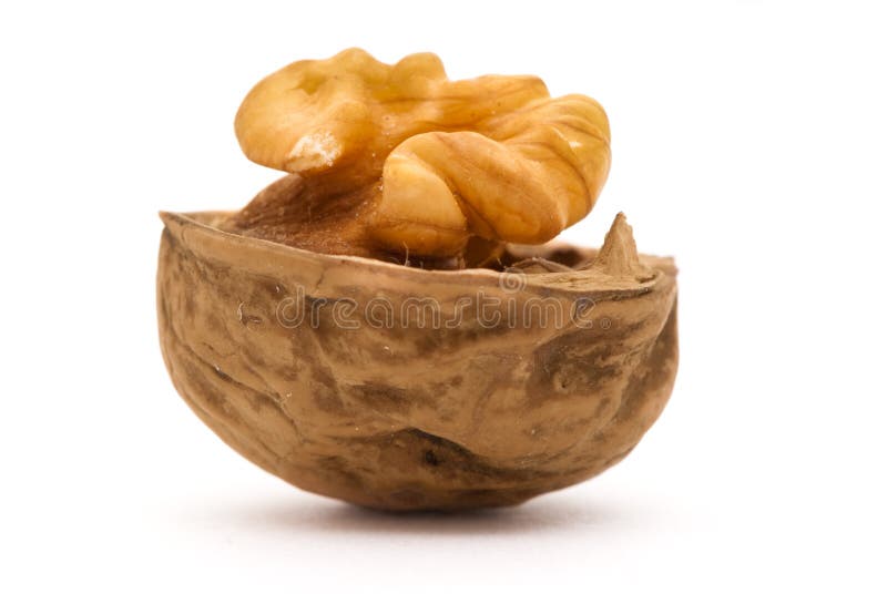 Walnut stock image. Image of nature, cuisine, isolated - 7918305