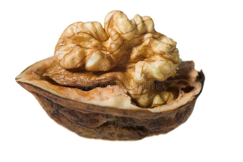 Walnut kernel macro stock photo. Image of ingredient - 34506296