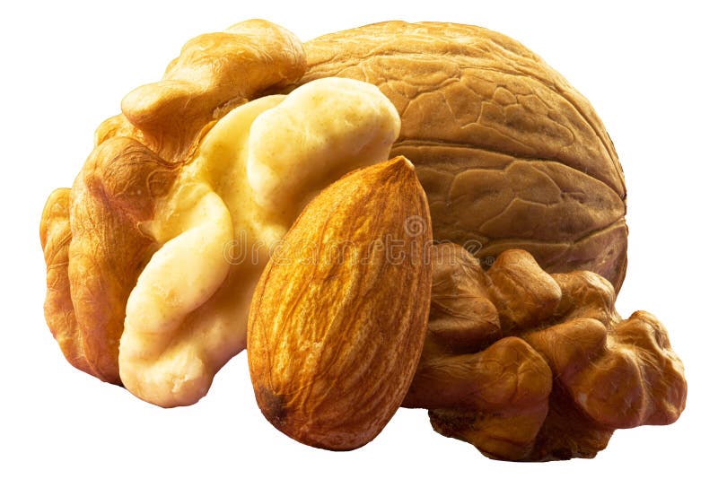 Walnut with Almond on White Stock Image - Image of eating, vitamin ...