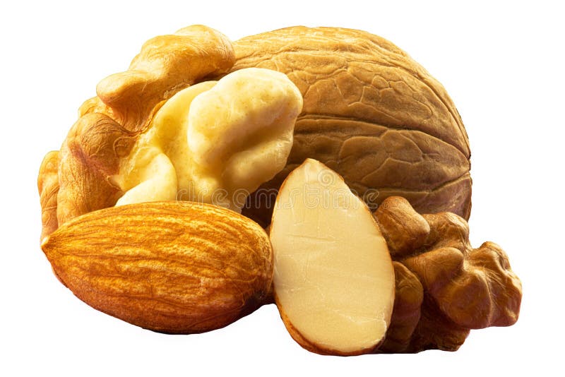 Walnut with Almond on White Stock Image - Image of season, medicine ...