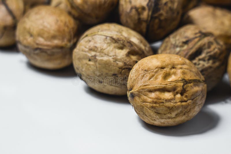 Walnut stock photo. Image of fall, fresh, snack, ingredient - 44883782