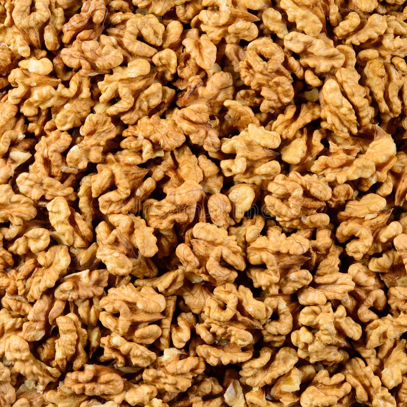 Background of walnuts stock image. Image of nutrition - 79849663