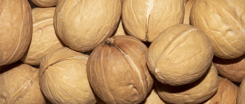Walnuts in a Shell Top View.Walnut Background Close-up.Whole Walnuts ... Walnuts in a Shell Top View.Walnut Background Close-up.Whole Walnuts ...