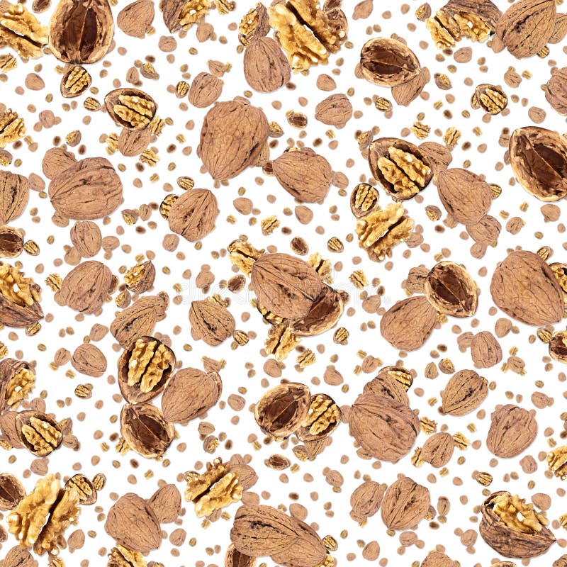 Walnut Background (on White) Stock Illustration - Illustration of white ...