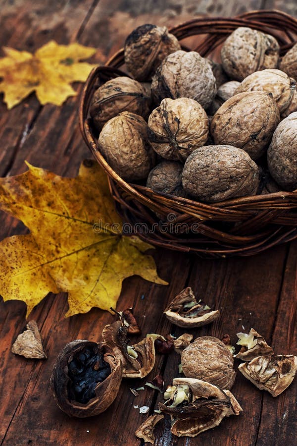 Walnut stock photo. Image of shell, walnuts, ripe, broken - 45875976