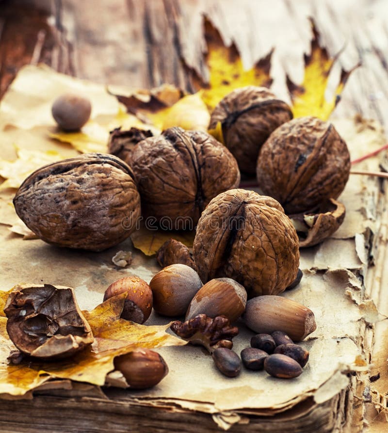 Walnut stock image. Image of food, forest, peel, ripe - 45971957