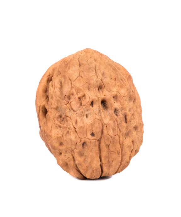 Walnut stock image. Image of macro, healthy, dried, isolated - 62396101