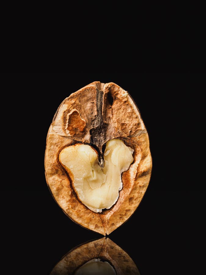Walnut on Black Background. Low Key Style. Nut Cut in Half Stands ...