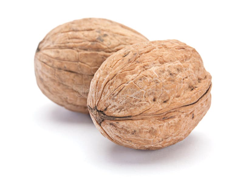 Walnut brown stock photo. Image of closeup, shell, nutshell - 20154198