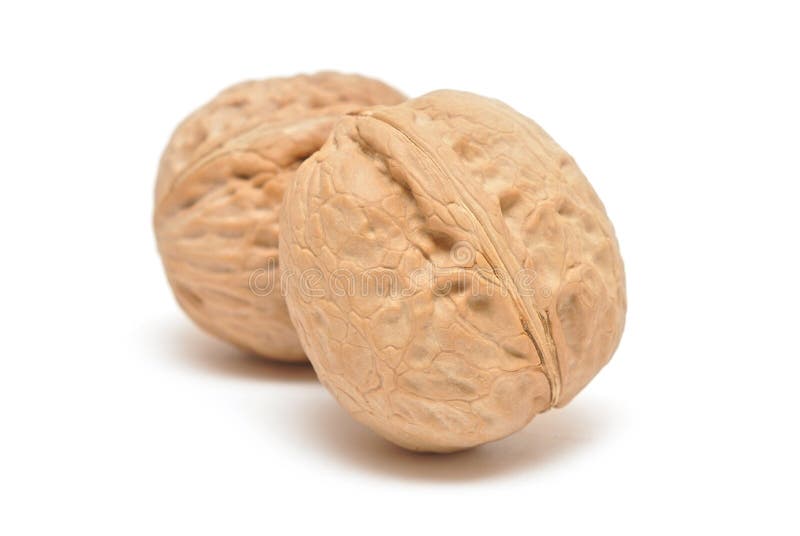 Walnut brown nut closeup stock photo. Image of seed, nutshell - 22335110