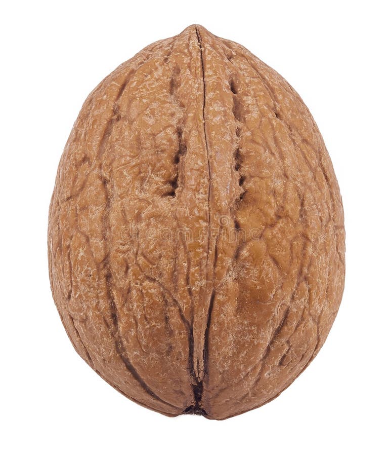 Walnut in close-up stock image. Image of people, food - 71431303