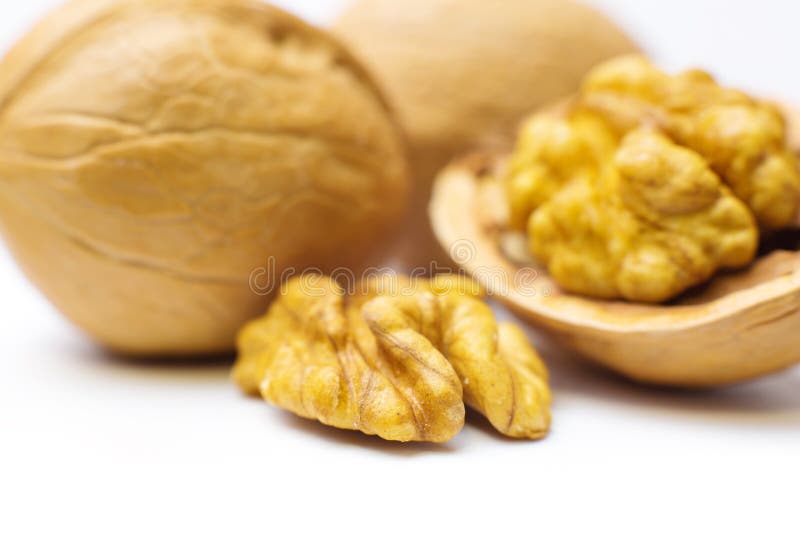 Walnut Close Up Isolated on White Background Stock Image - Image of ...