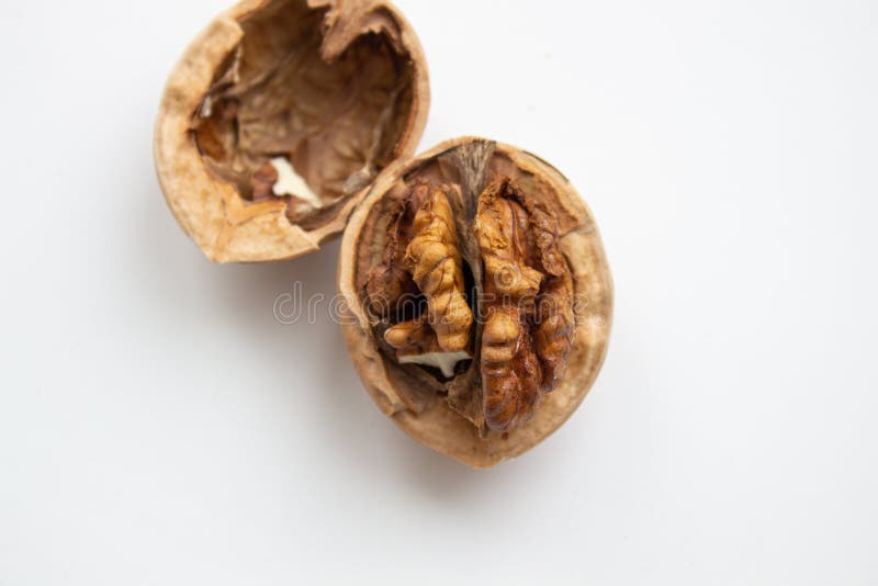 Walnut Close - Up Isolated on a White Background Stock Image - Image of ...
